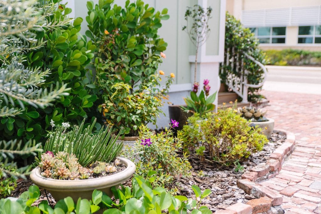 Spa Tour - Botanica Day Spa